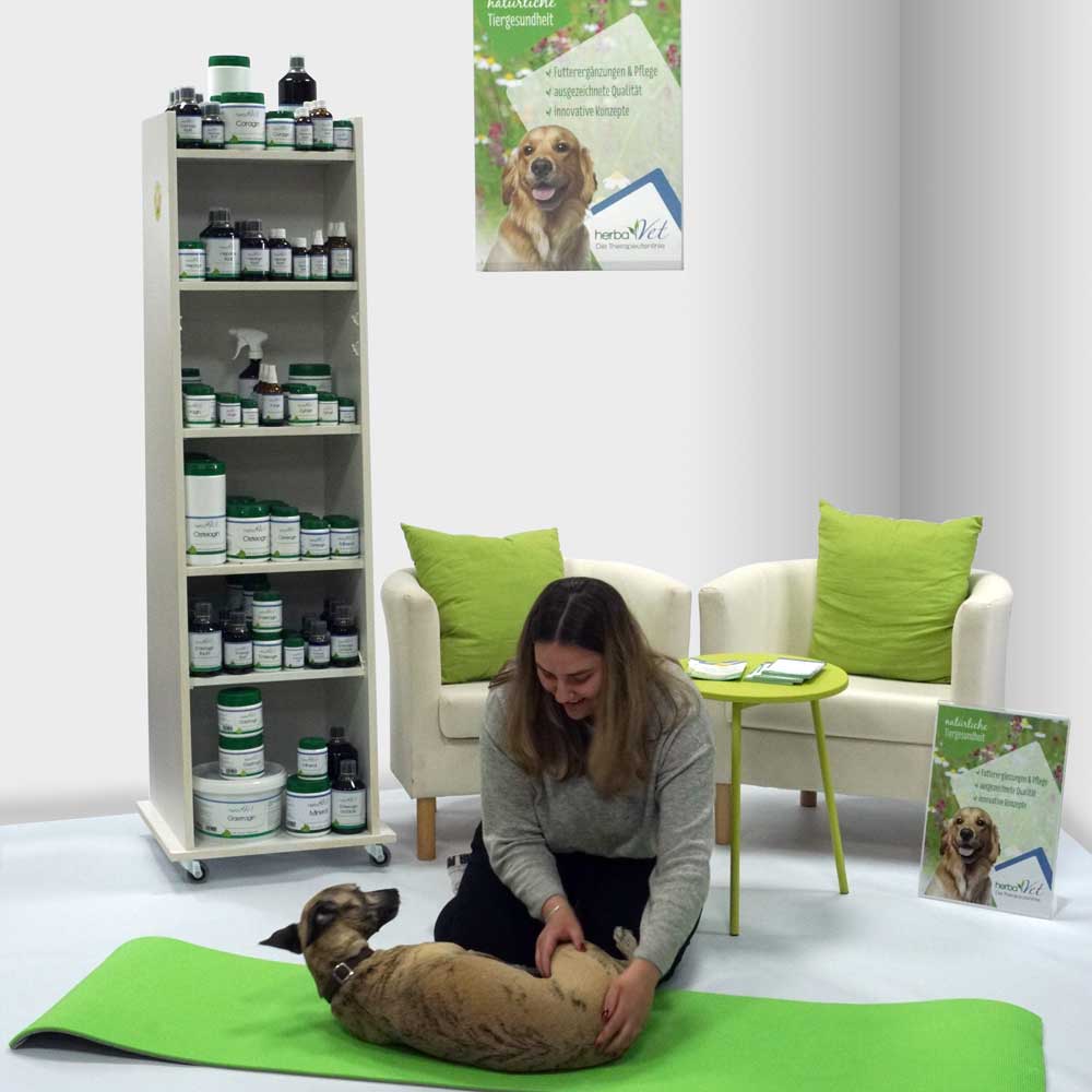 herbaVet – eine einzigartige Therapielinie von cdVet