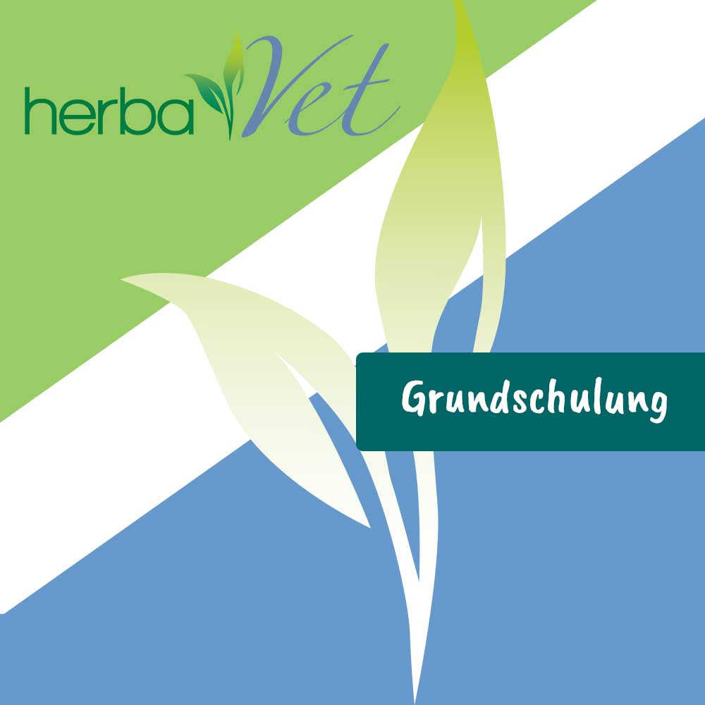herbaVet – eine einzigartige Therapielinie von cdVet